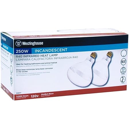 Satco S4885 120V 250 Watt R40 Medium Base Shatterproof Heat Lamp, Clear ...