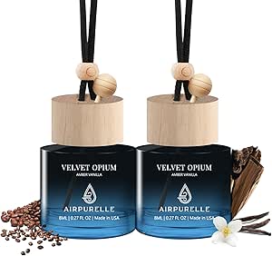 Car Air Freshener Hanging 2 Pack Car Air Fresheners Diffuser - Amber ...