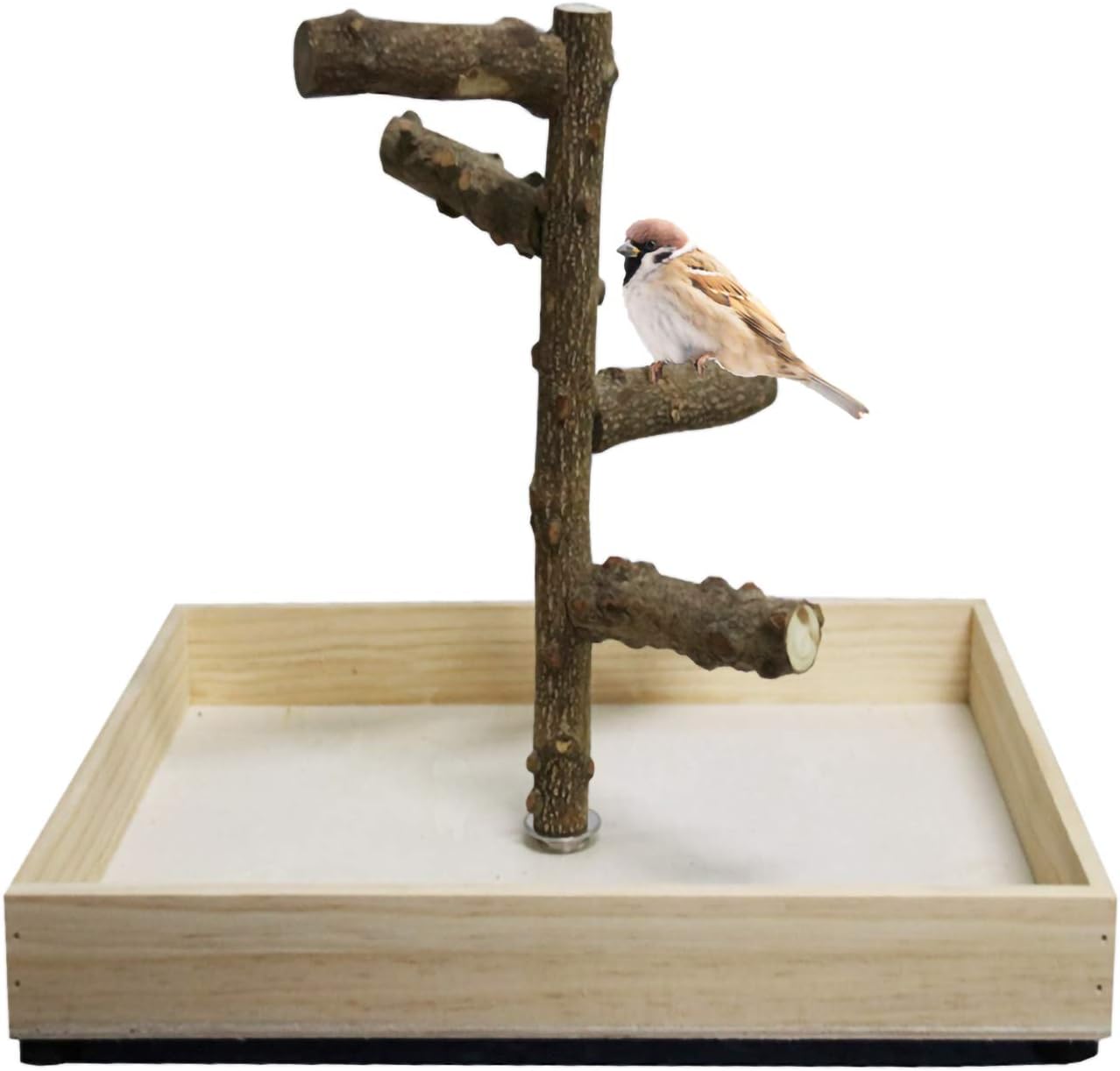 Amazon.com : Hamiledyi Bird Perch Stand Tabletop,Parrot Playground Bird ...