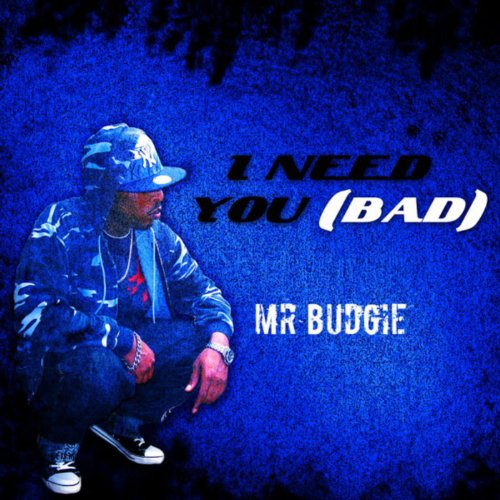 I Need You (Bad) - Single by Mr Budgie on Amazon Music - Amazon.com