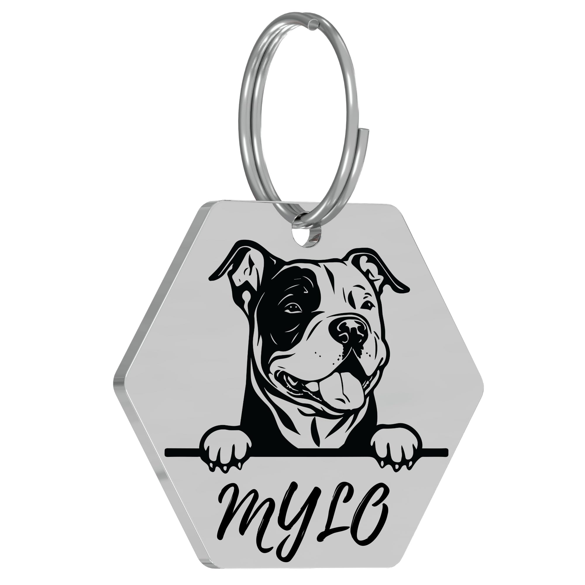 Amazon.com : PawFurEver Dog Tags Personalized with Breed Design ...