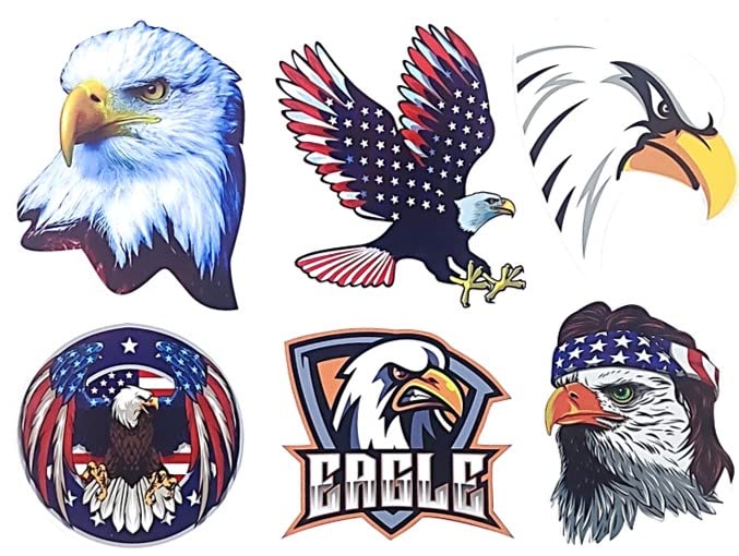 UNIq USA The American Bald Eagle Stylish Big Size Laminated Glossy 6 ...