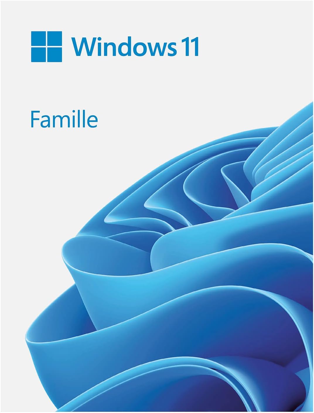 Microsoft Windows 11 Famille 64 bits : Amazon.ca: Software