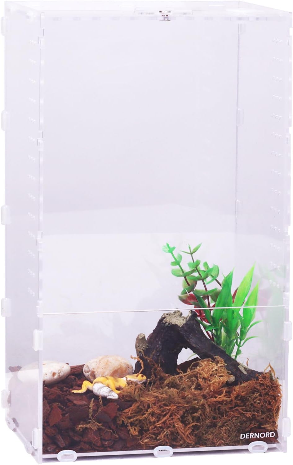 DERNORD Reptile Jumping Spider Enclosure - Acrylic Box 20x15x35cm Mini ...
