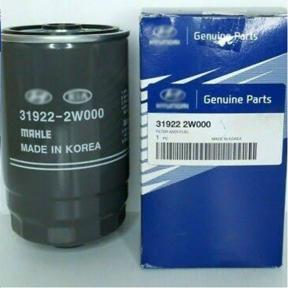 Amazon.com: Genuine OEM 31922-2W000 Filter Cartridge / 319222W000 for ...