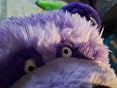 Amazon.com: Donkey Hodie 16" Purple Panda Plush Doll, Toys for Kids ...