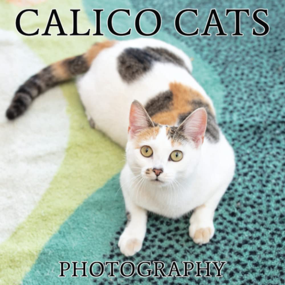 Calico Cats Photo Book: An Amazing Collection With Compelling Photos Of ...