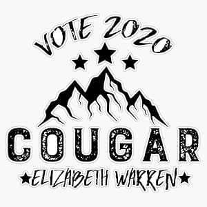 Amazon.com : TCT Trading Elizabeth Warren Cougar 2020 Vinyl Stickers ...