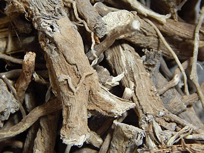 Buy Apamarg Plant (20 Gram Root) Online at Low Prices in India - Amazon.in