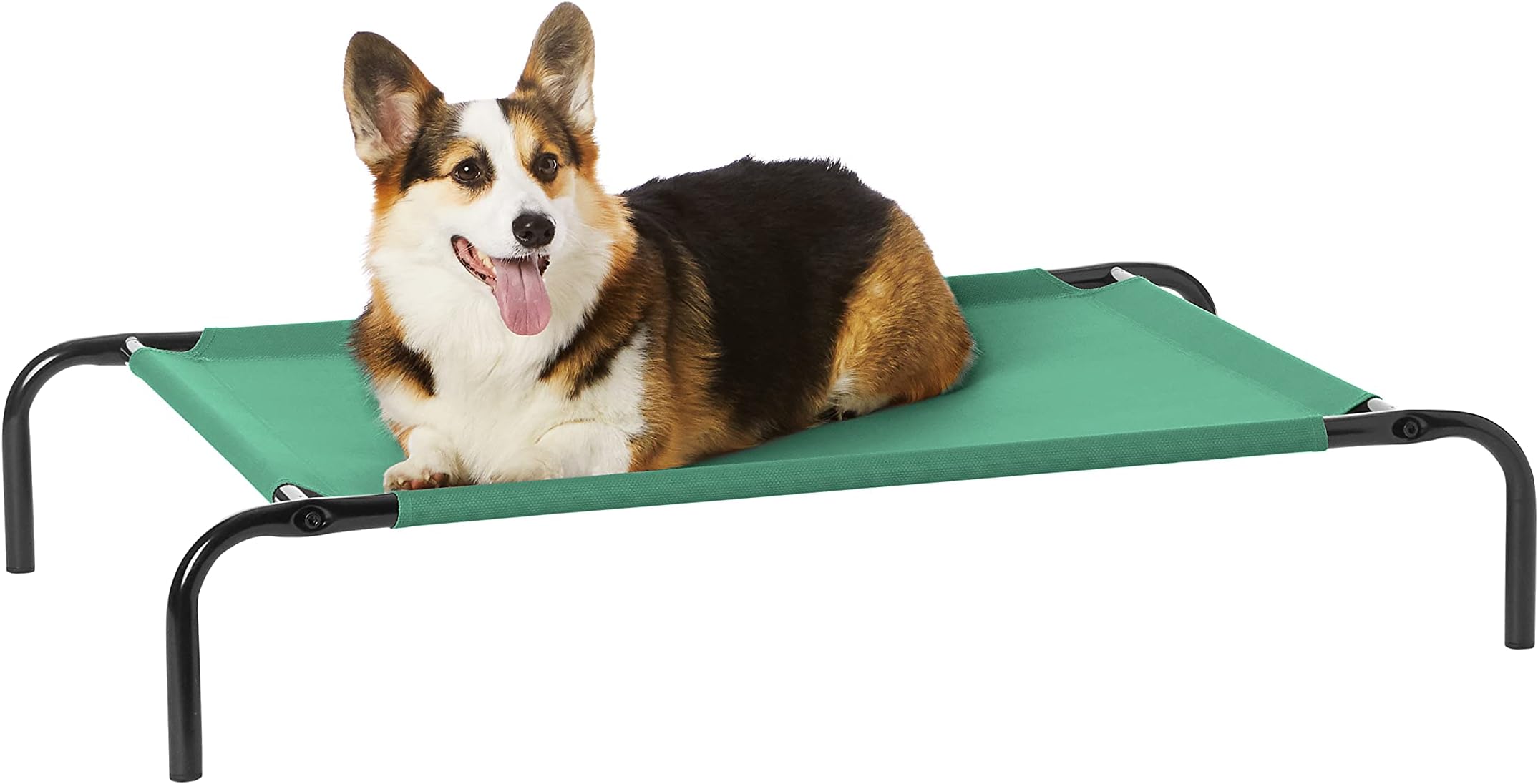 Amazon Basics Cama elevada transpirable para perros con marco de metal ...
