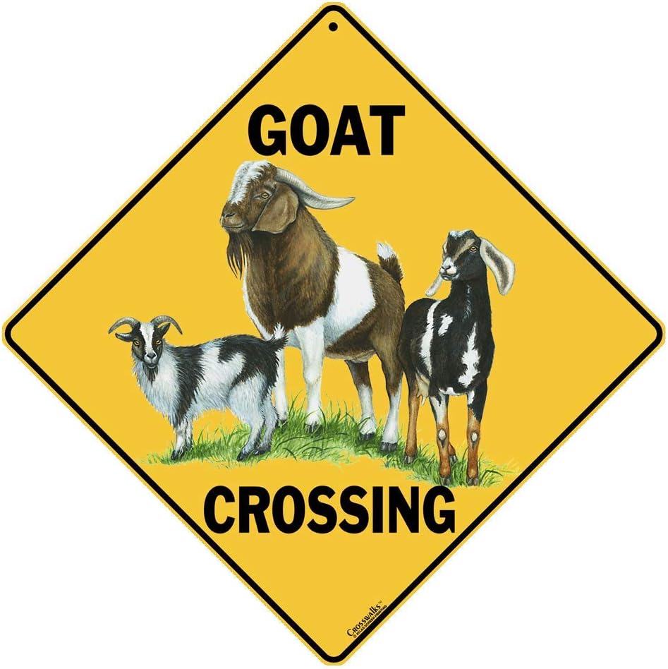 Amazon.com: CROSSWALKS Goat Crossing 12" X 12" Aluminum Sign (X195 ...