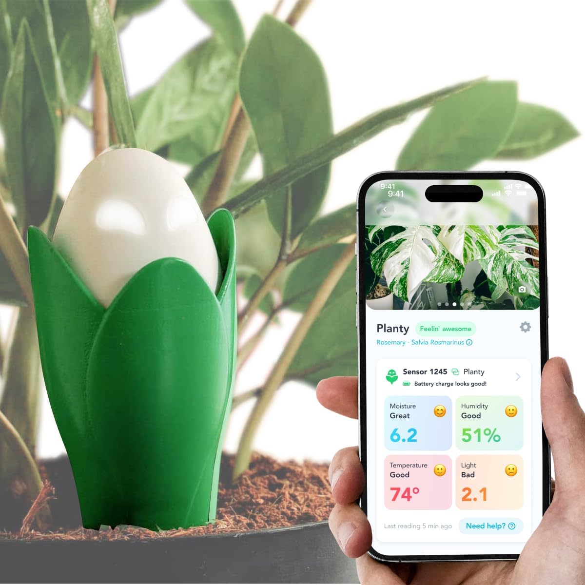 Amazon.com: Flora Pod AI-Powered Smart Plant Monitor | for Indoor or ...