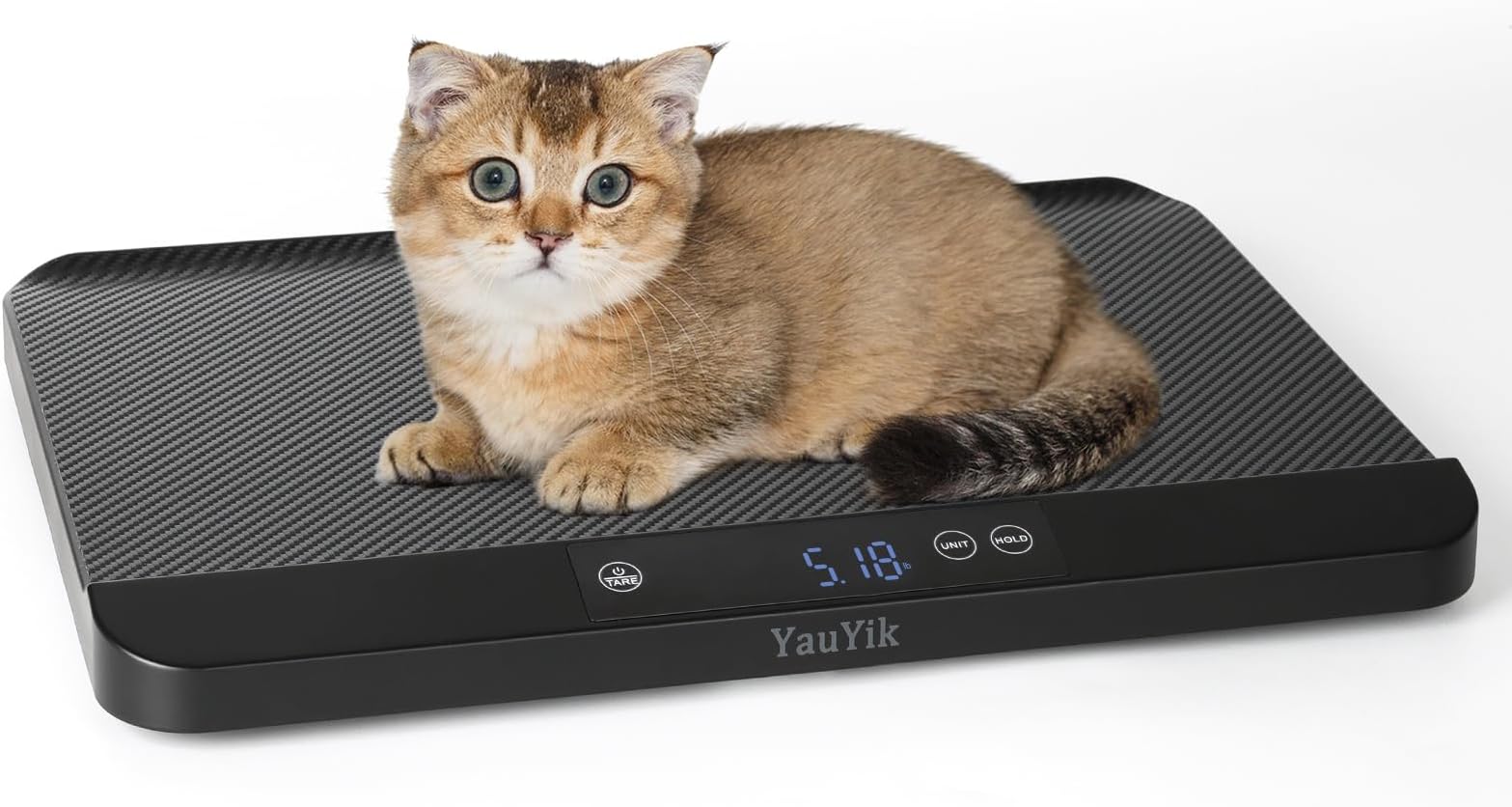 Amazon.com : YAUYIK Digital Pet Scale for Accurate Weighing - Ideal for ...