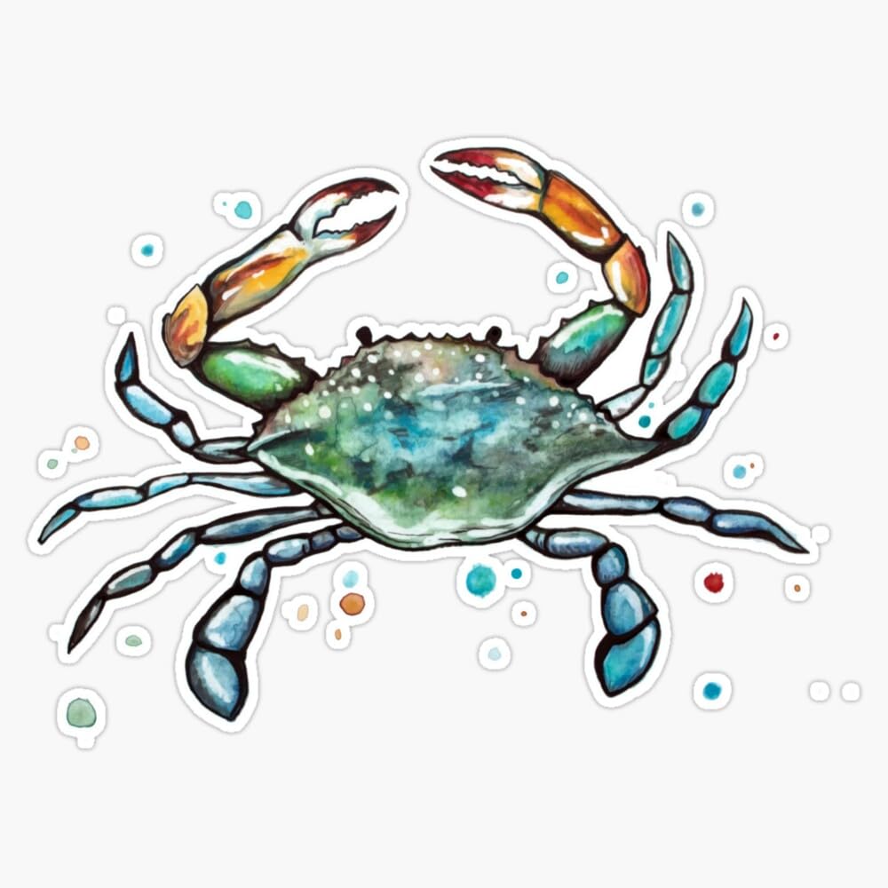 Amazon.com - Maryland Blue Crab Vinyl Sticker Waterproof Decal Laptop ...