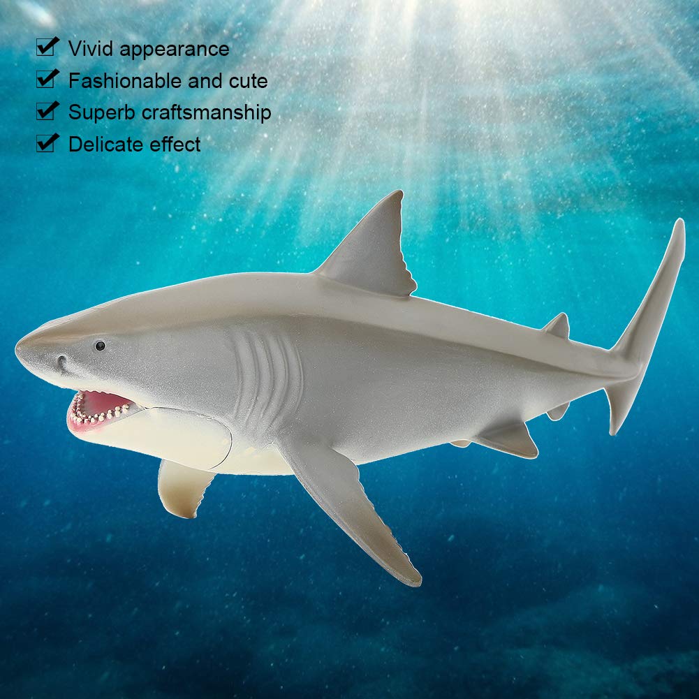 Images Of Sharks For Kids