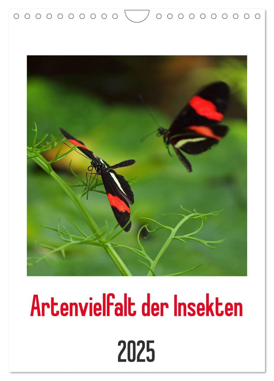 Biodiversidad de insectos (calendario de pared 2025 DIN A4 alto ...