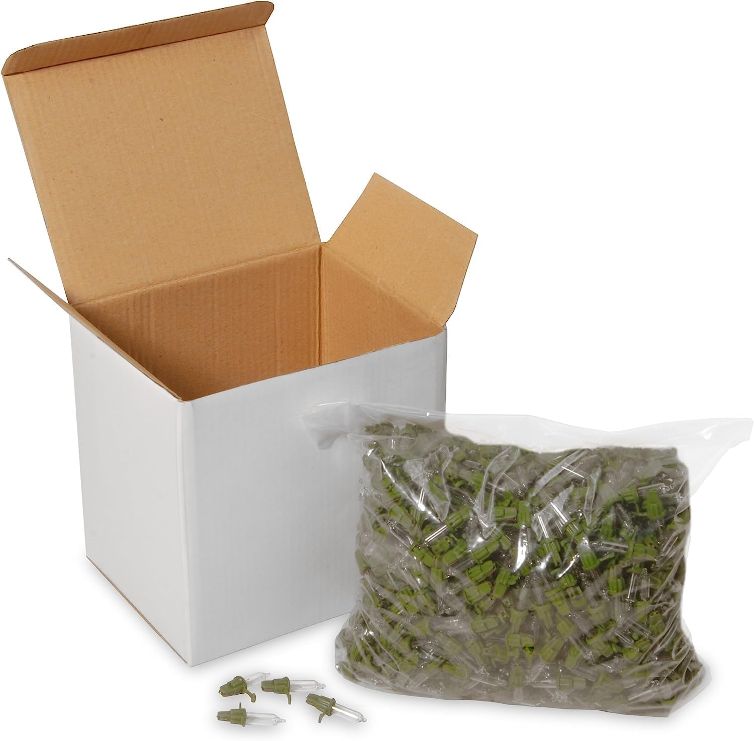 Amazon.com: National Tree Company Christmas Tree Lights | 1,000 White ...