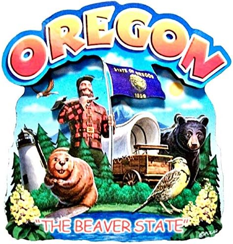 Amazon.com: Oregon Artwood State Magnet Collectible Souvenir by Classic ...