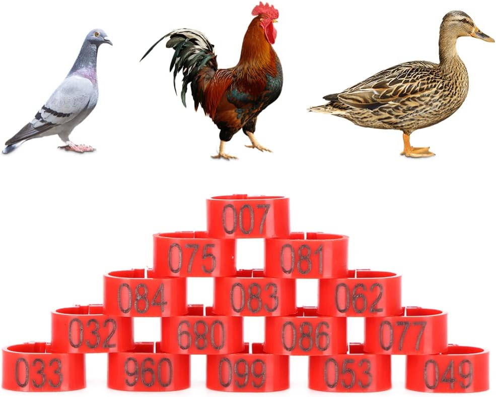Amazon.com: 100PCS Poultry Leg Rings, 001‑100 Numbered Pigeons Identify ...