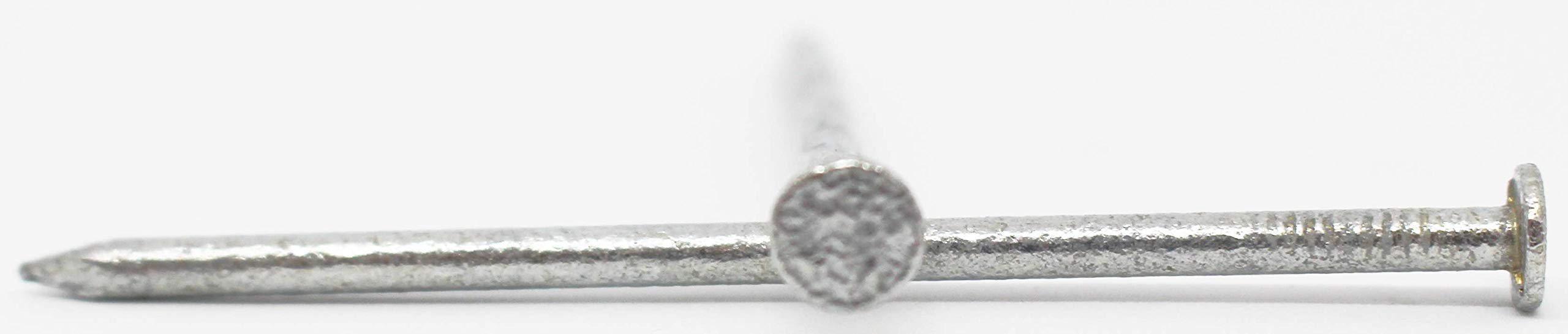 Galvanised Round Wire Nails 40mm x 2.36mm 500g Tray : Amazon.co.uk: DIY ...