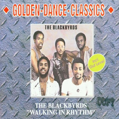 Buy Walking in Rhythm Online at Low Prices in India | Amazon Music ...