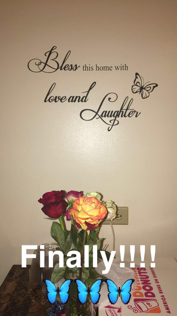 Wall Sticker,Laimeng, Removable Home Window Vinyl Art Decal - Amazon.com