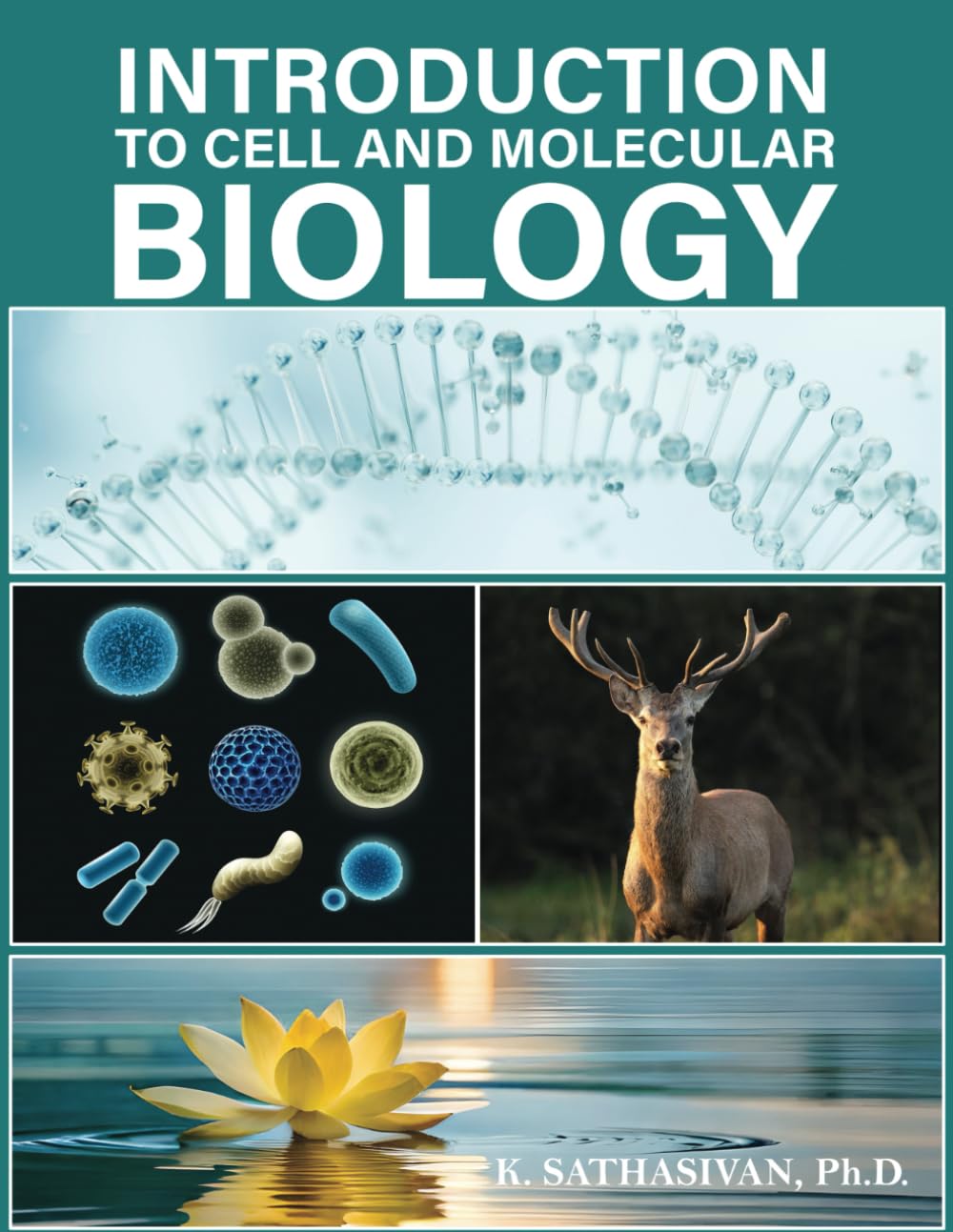 INTRODUCTION TO CELL AND MOLECULAR BIOLOGY: 9781962012492: Medicine ...