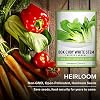 Amazon.com : Gardeners Basics, Bok Choy Chinese Cabbage Seeds for ...