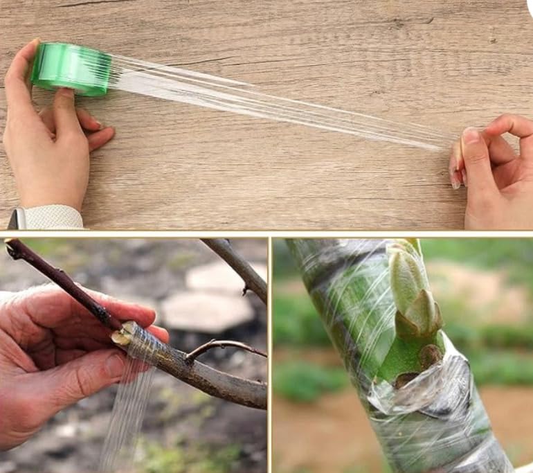 Amazon.com : KINGLAKE GARDEN Grafting Tape,2 Pcs Tree Grafting Tape ...