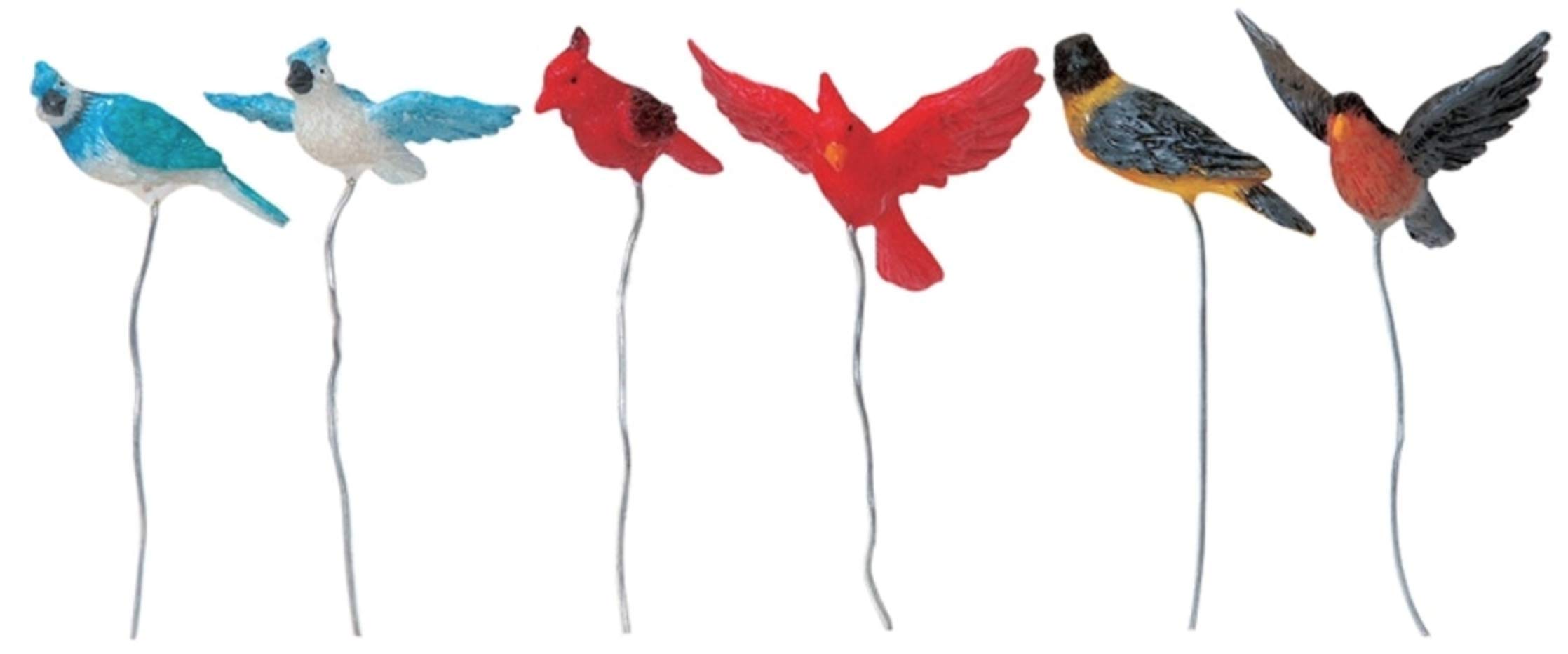 Amazon.com: Lemax Village Collection ASSORTED BIRDS #84815 Figurine ...