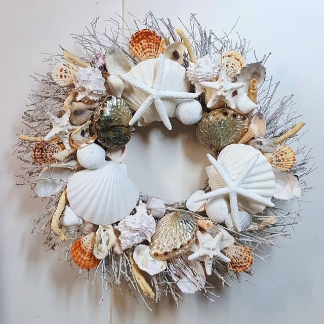 Amazon.com: 20" Sea Shell Wreath on Birch Twig with Highly Polished ...
