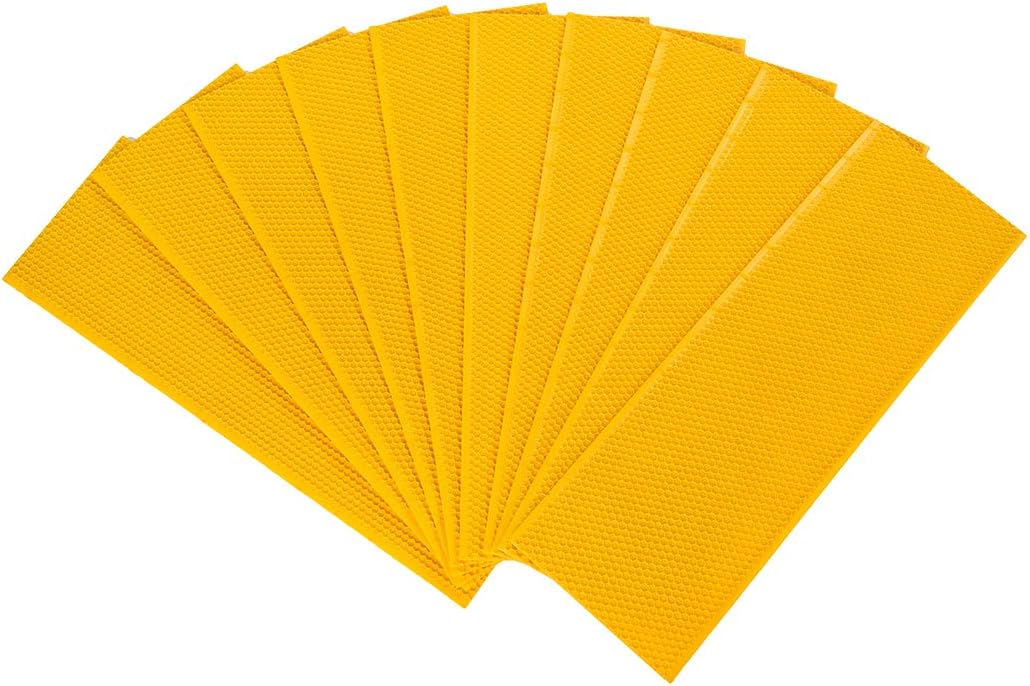 Amazon.com : rejopfad Bee Honey Sheets Beeswax Sheets 30Pcs, Beehive ...