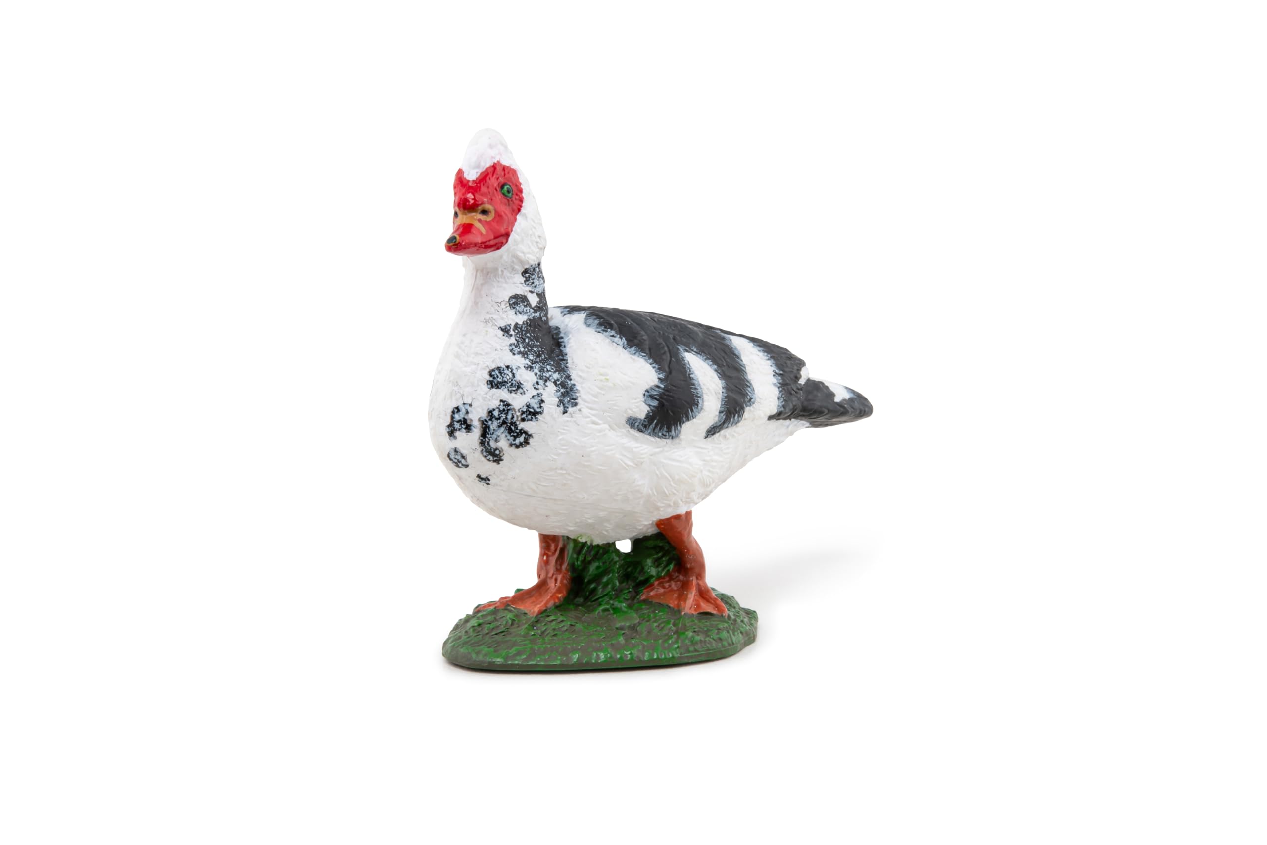 Papo – Hand painted – Animal Figure – Domestic Muscovy Duck – 51189 ...