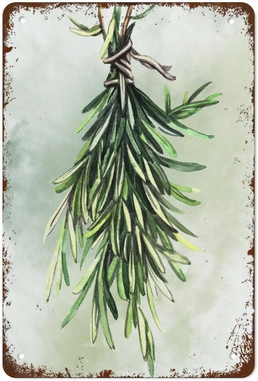 Amazon.com: Metal Tin Sign Vintage Metal Signs Rosemary Herb Paintings ...