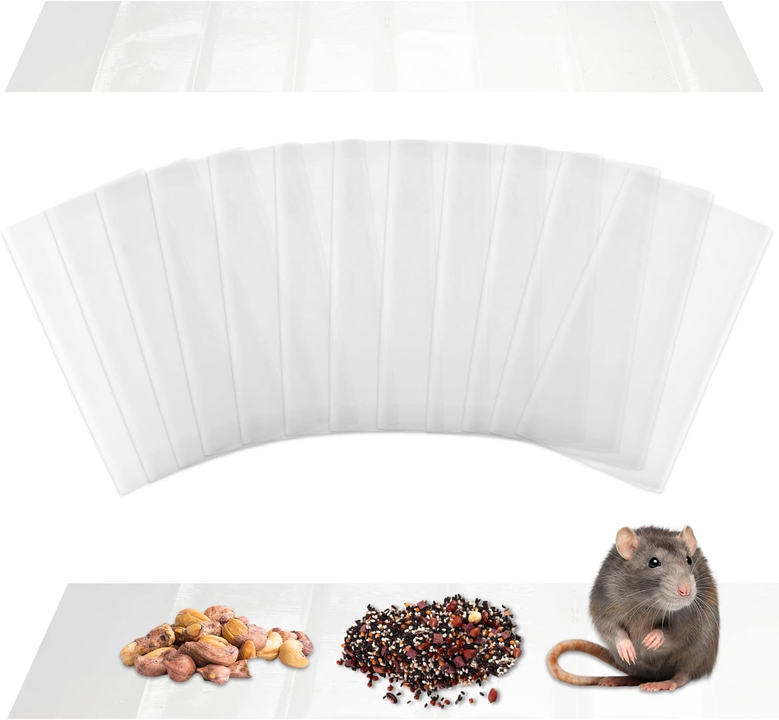 Amazon.com : Catchmaster Mouse & Insect Super Glue Traps 30PK, Mouse ...