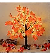 Amazon.com: Woohaha 24LED Fall Tree Lighted Maple Tree,Thanksgiving ...