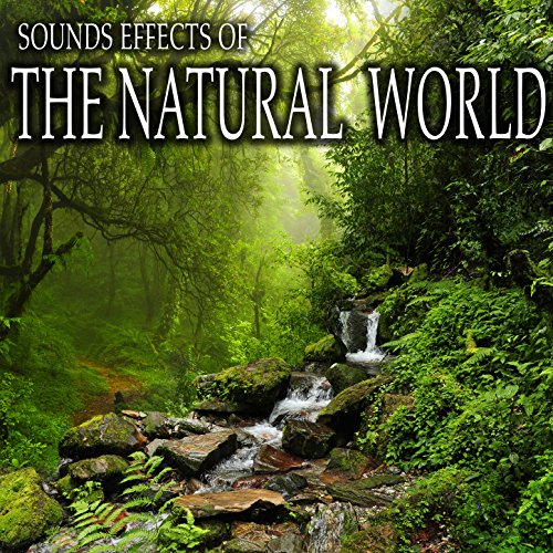 Sound Effects of the Natural World by Sound Ideas on Amazon Music ...