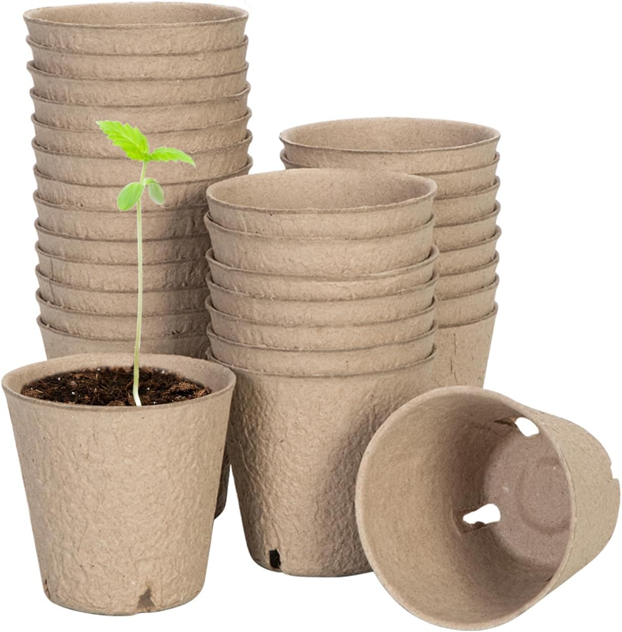 Amazon.com: Jiffy-Pots Organic Seed Starting 3" Biodegradable Peat Pots ...