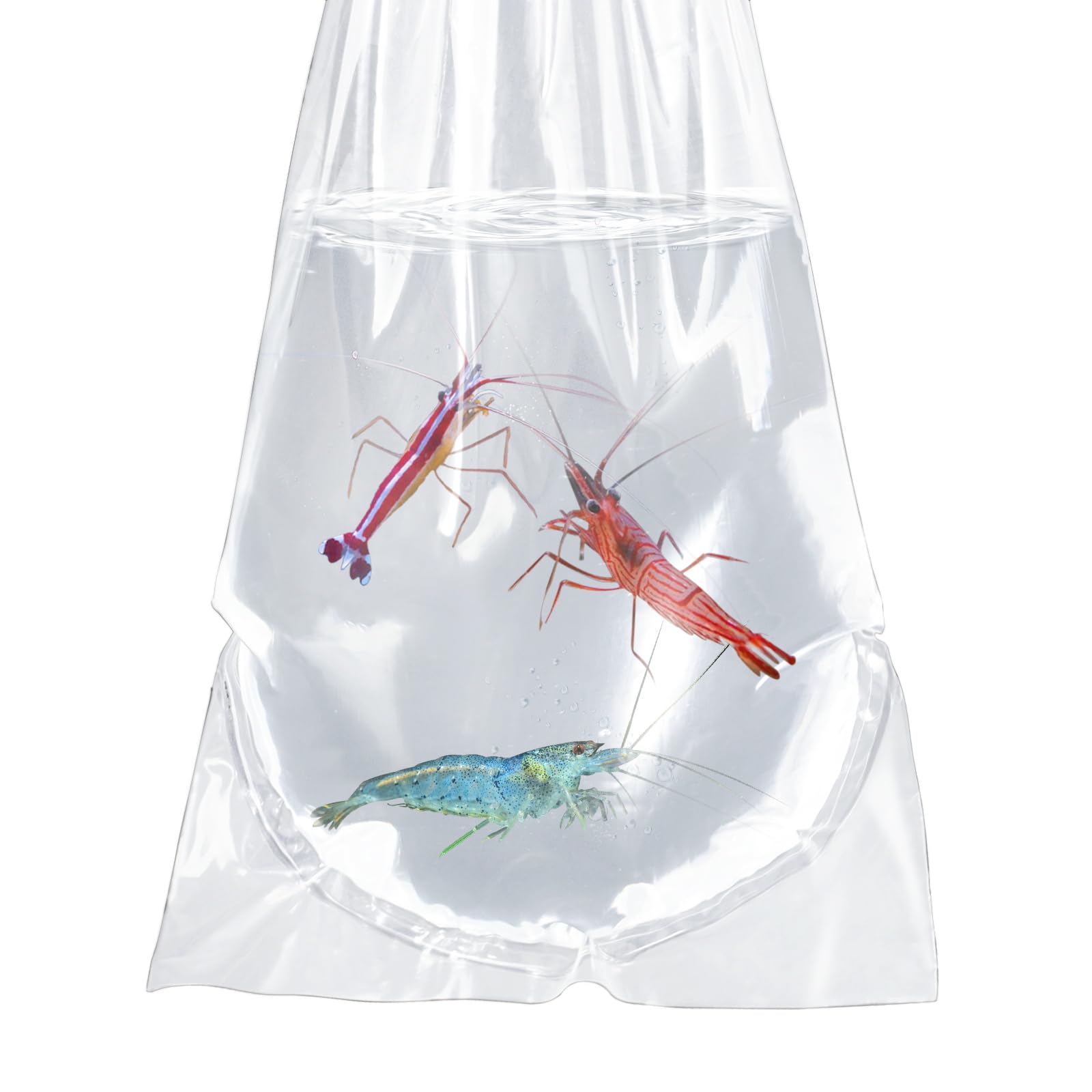 Snapklik.com : Fish Bags 100 Packs, Round Bottom Double Seal Clear Live ...