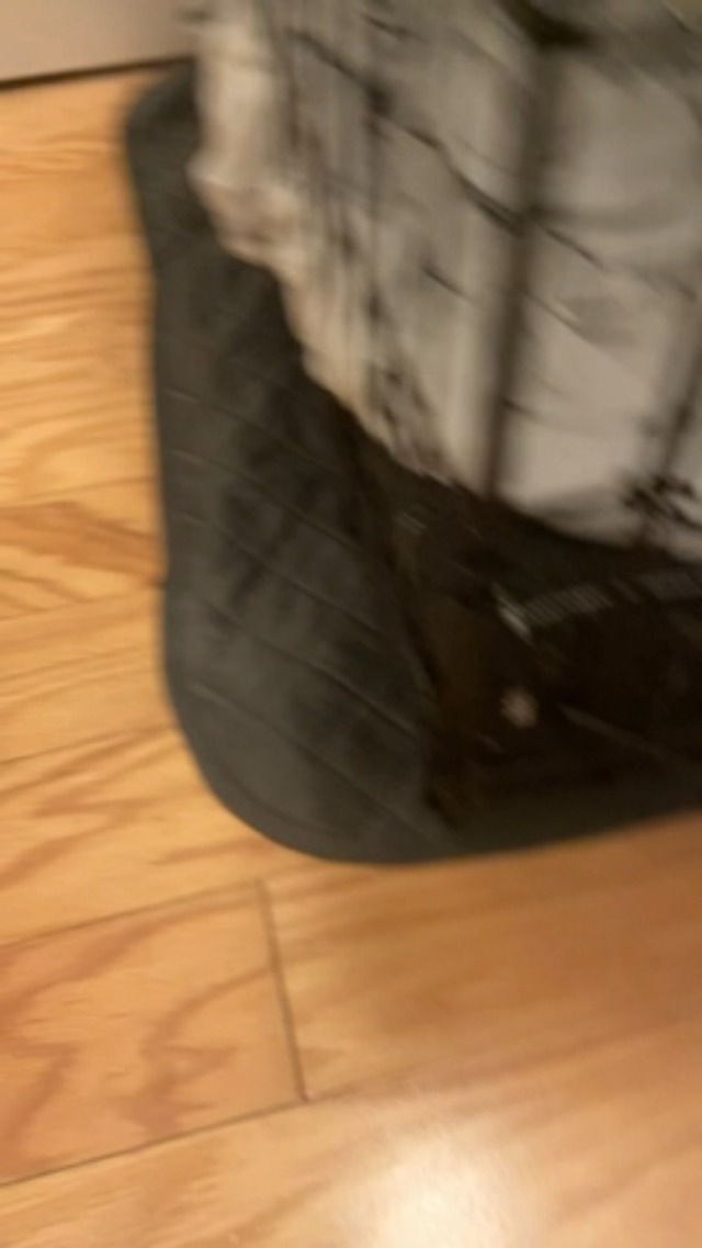 Watch How to use pee pads on Amazon Live