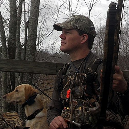 Flyway Highway (2014) : Greg Goodall: Amazon.fr: Téléchargement de Musique