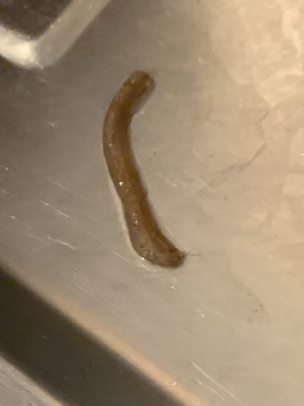 Biotiful Gut Health Kefir Drink Original, Immunity Support, High in ...