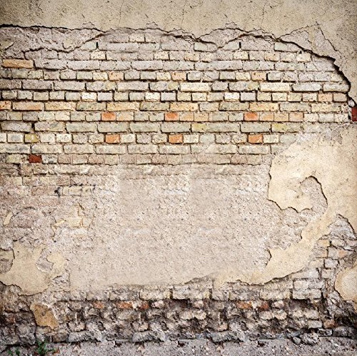 Distressed Brick Background Distressed White Brick Flemish Bond