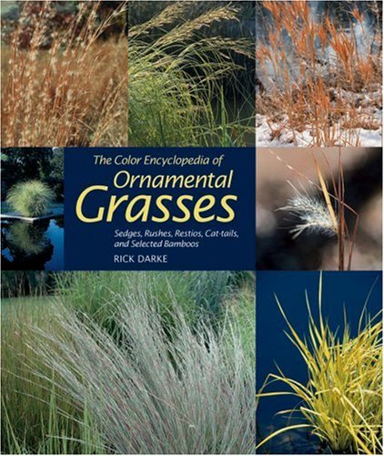 Amazon.co.jp: The Color Encyclopedia of Ornamental Grasses: Sedges ...