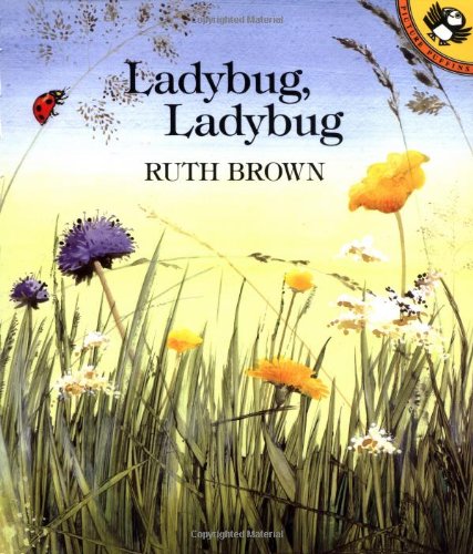Ladybug, Ladybug (Picture Puffins): Brown, Ruth: 9780140545432: Amazon ...