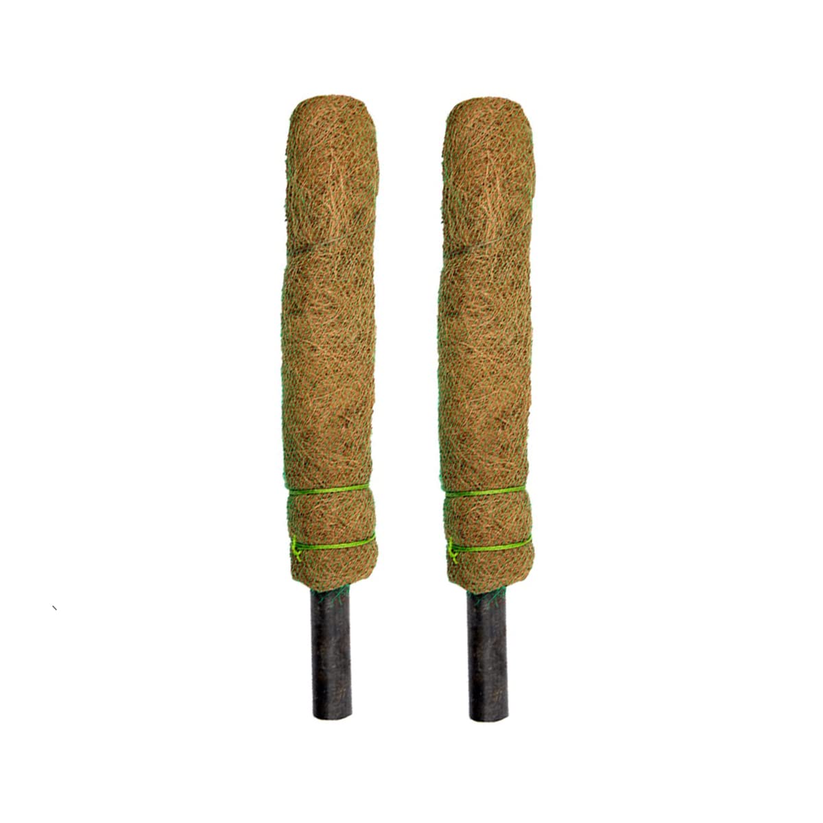 SIVISTY Coir Coco Pole Moss Stick Garden Mulch - 1 ft CoirSticks for ...