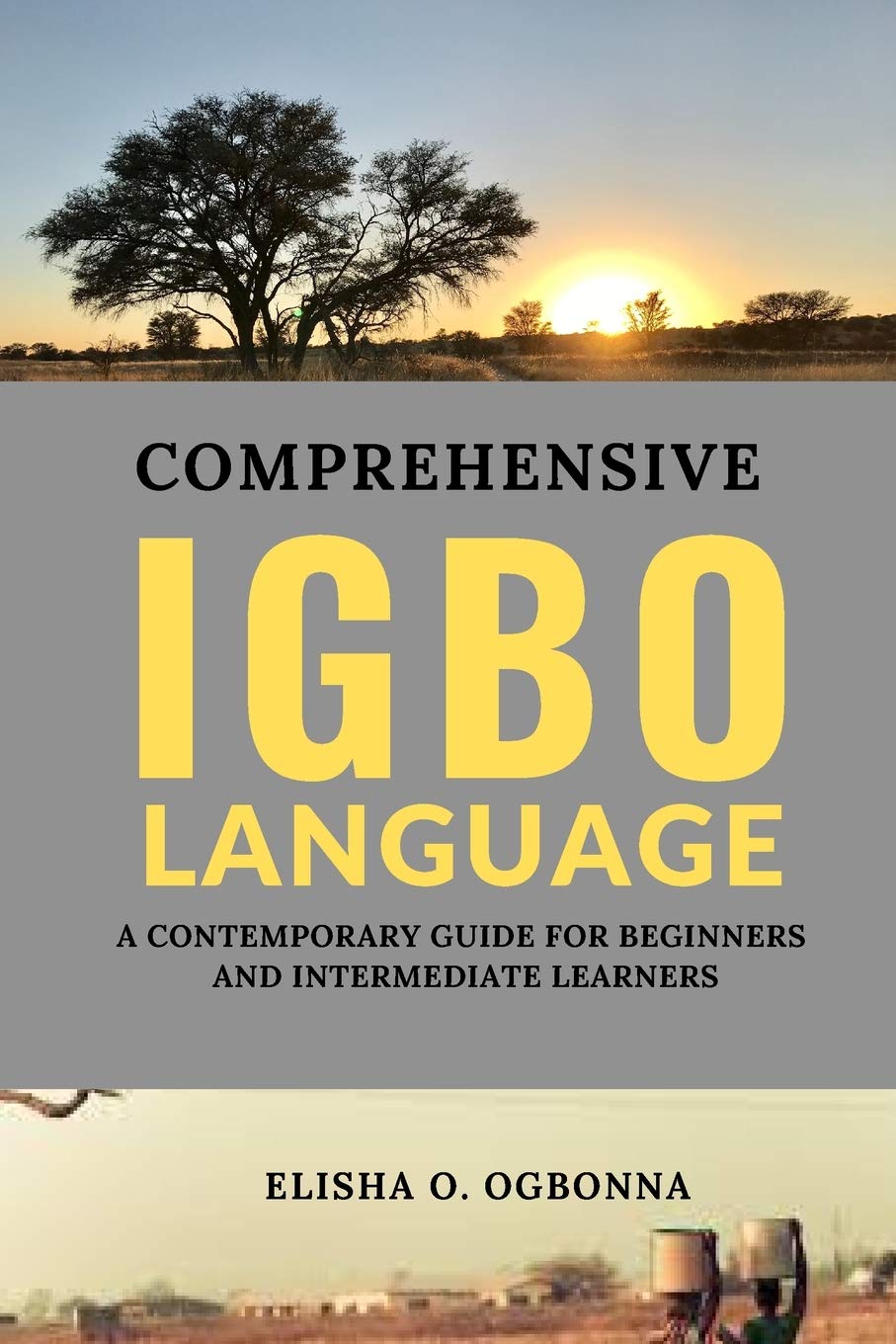Comprehensive Igbo Language: A Contemporary Guide for Beginners and ...