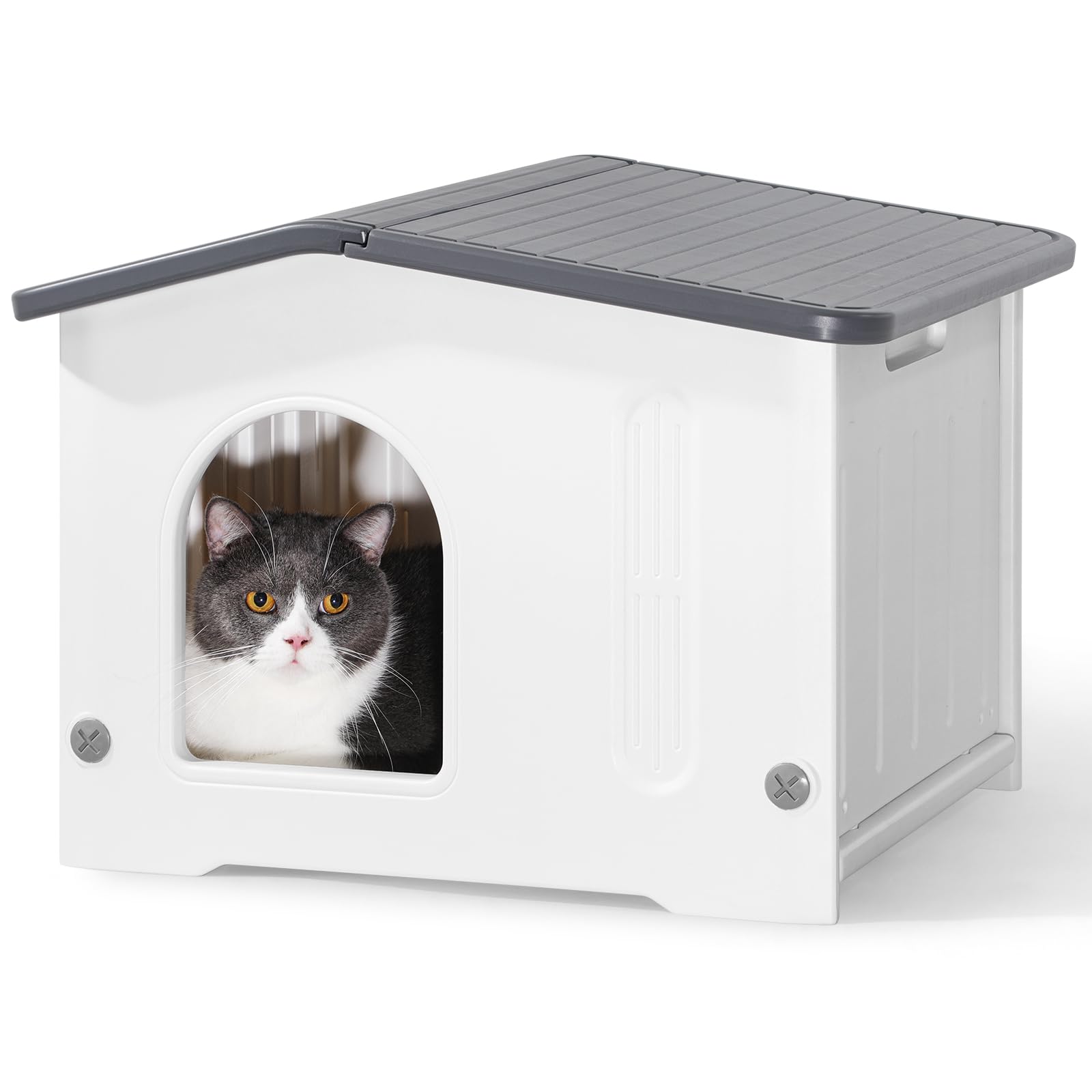 Amazon.com : PawVogue Outdoor Cat House, Large, Insulated ...