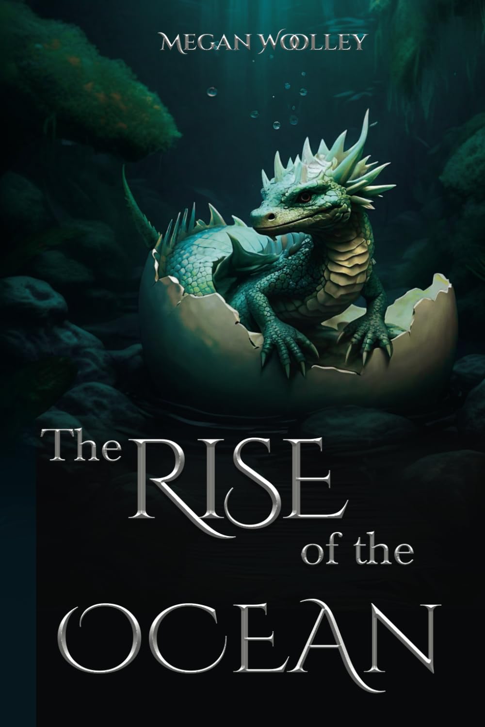 The Rise of the Ocean: Woolley, Megan: 9798345502389: Amazon.com: Books