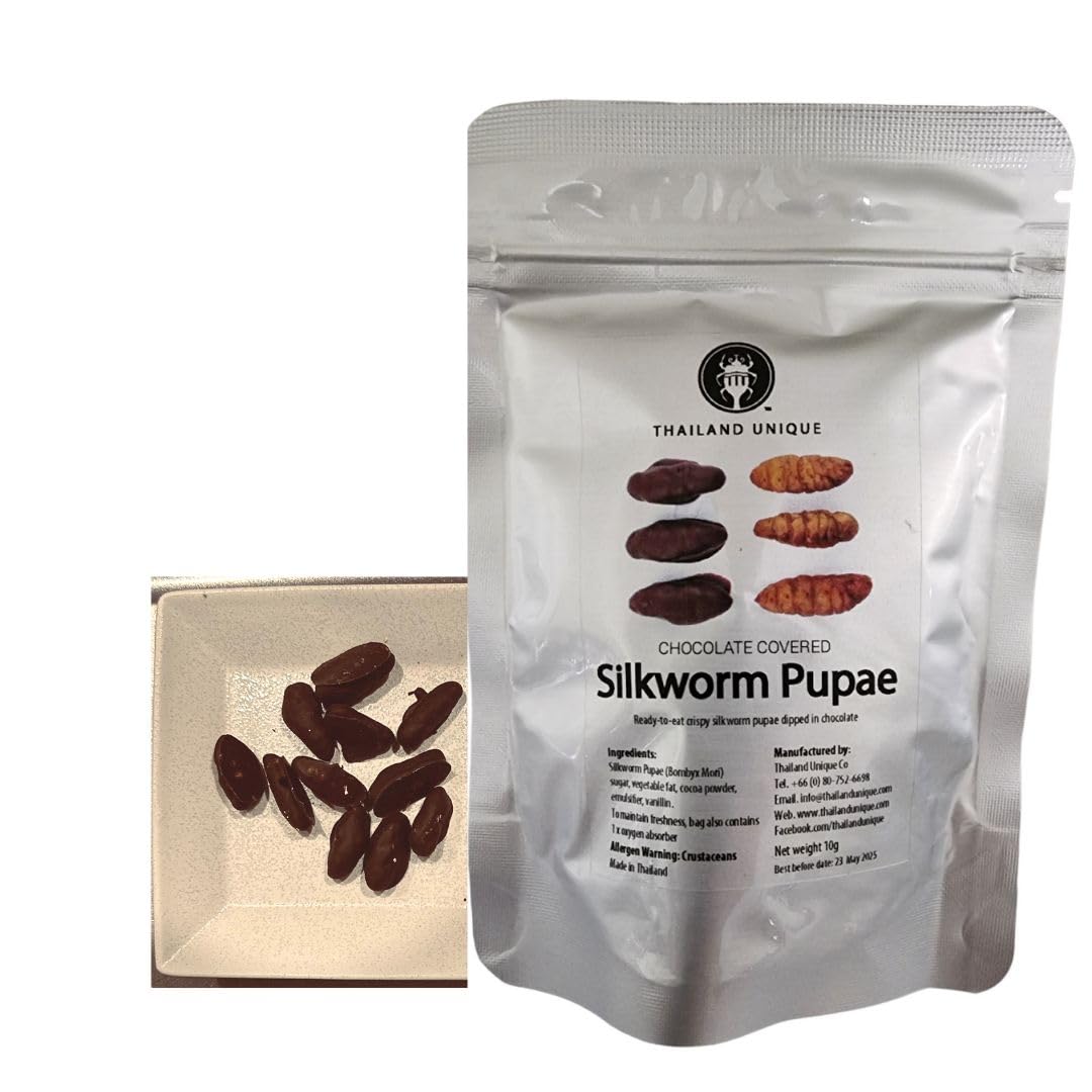 Amazon.com : Thailand Unique Chocolate Covered Silkworm Pupae - 10 Gram ...